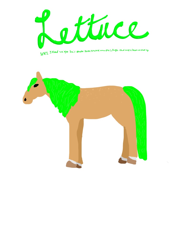 how to draw a horse jumping