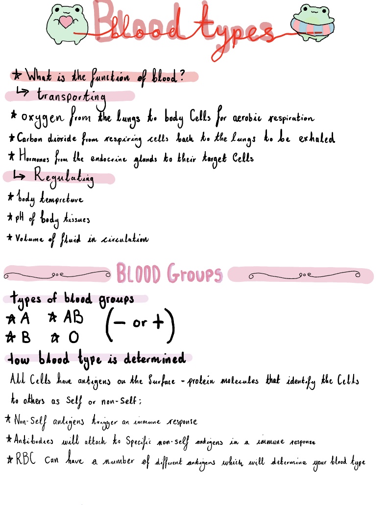 Blood Type Notes - Notability Gallery