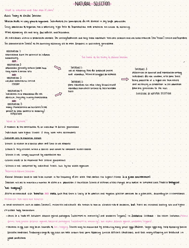 AE2001 Natural Selection - Notability Gallery