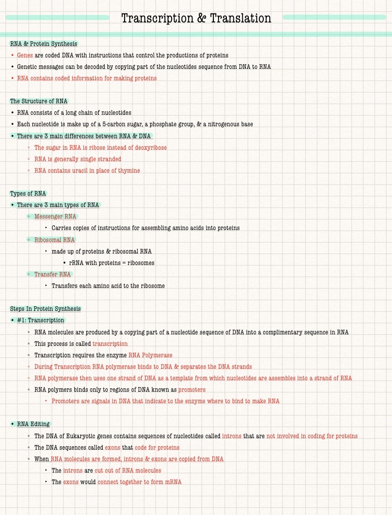 Grade 10 Biology Notes: Transcription & Translation - Notability Gallery