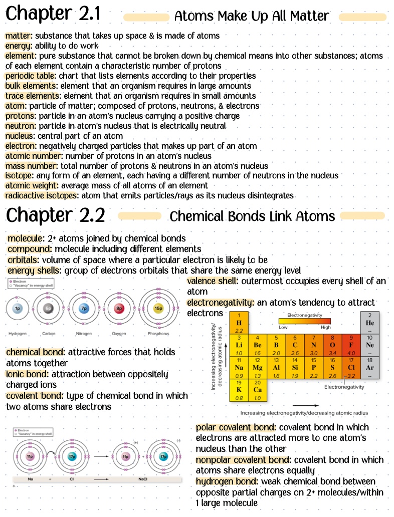 Chapter 2: The Chemistry Of Life - Notability Gallery