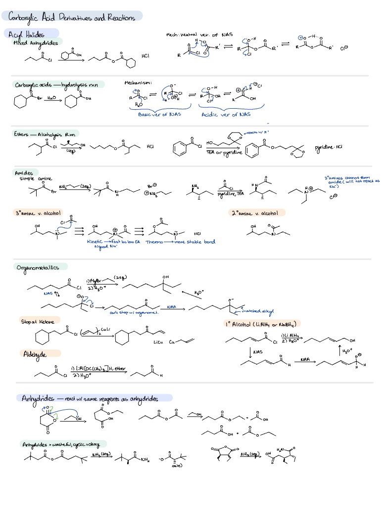 Carboxylic Acid Derivatives And Reactions - Notability Gallery