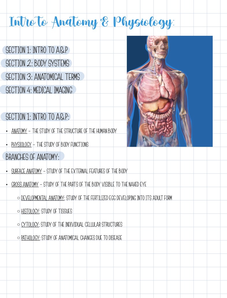 UNIT 1: Intro To Anatomy & Physiology - Notability Gallery
