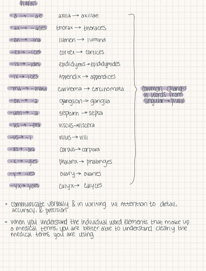 Chapter 2 Notes Word Analysis And Communication - Notability Gallery